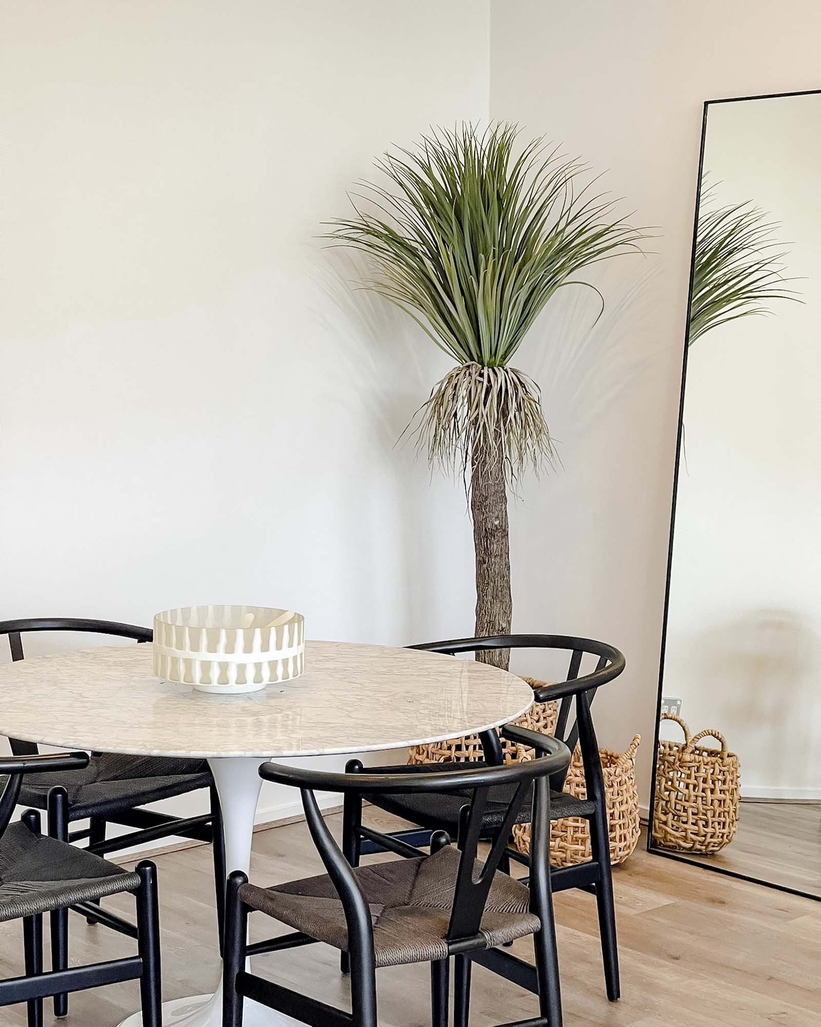 Project: Griffin Place, Glebe